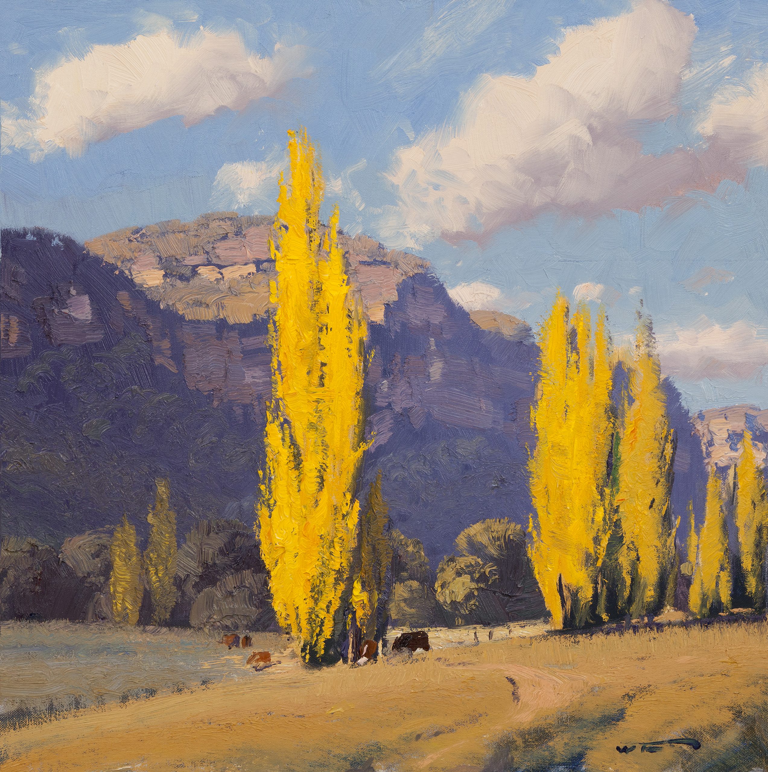 Recent Work | Warwick Fuller