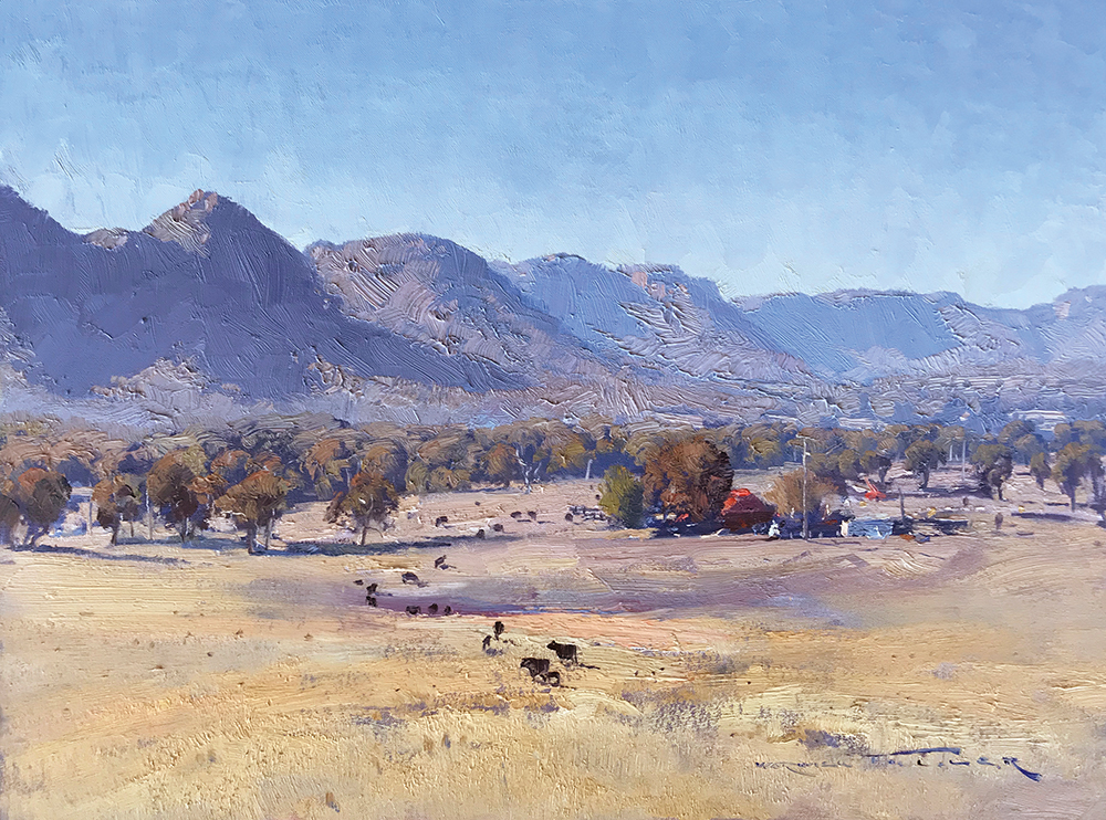 Warwick Fuller | Landscape Artist