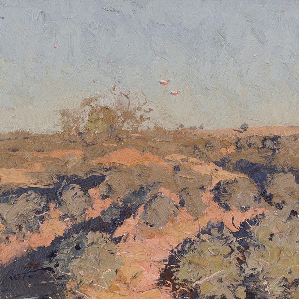 Warwick Fuller | Landscape Artist