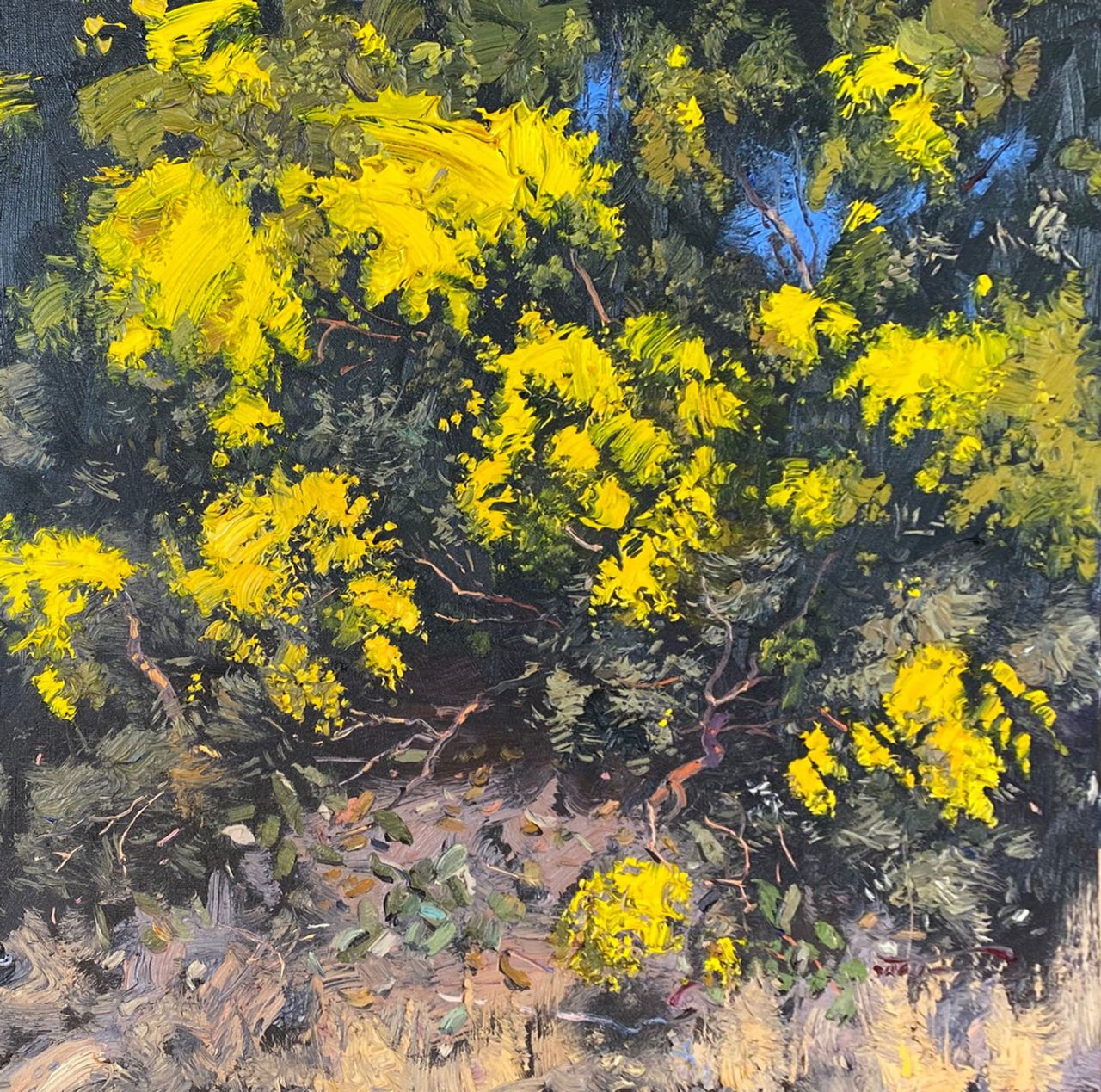 Warwick Fuller | Landscape Artist