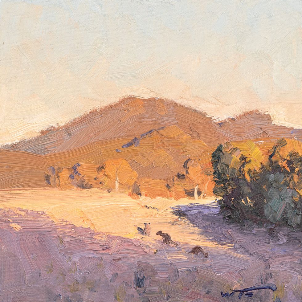 Warwick Fuller | Landscape Artist
